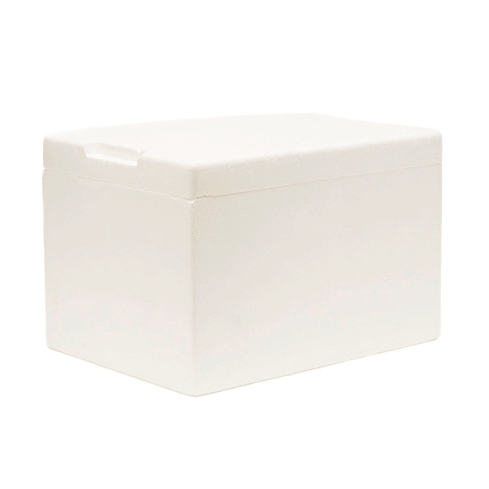Polystyrene Esky - Medical Box, 10kg / 17L, 40mm Wall - Foam Sales